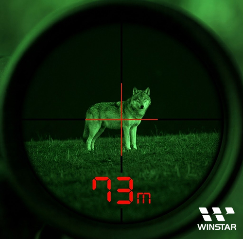 First Components. FIRST Componens Academy | What is Transparent OLED ...